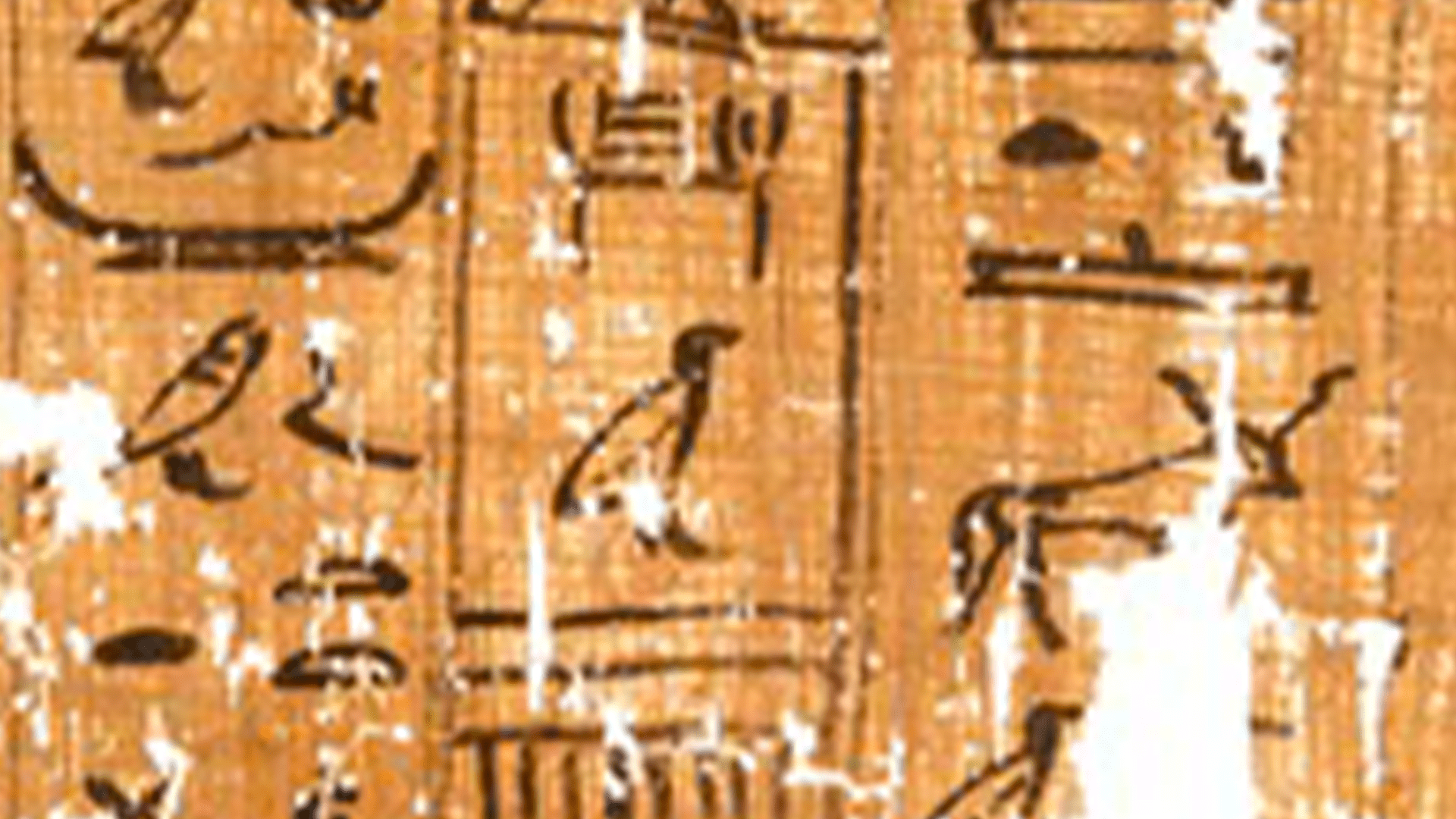Histoire des plus anciens papyrus de l’humanité : les papyrus du Ouadi ...